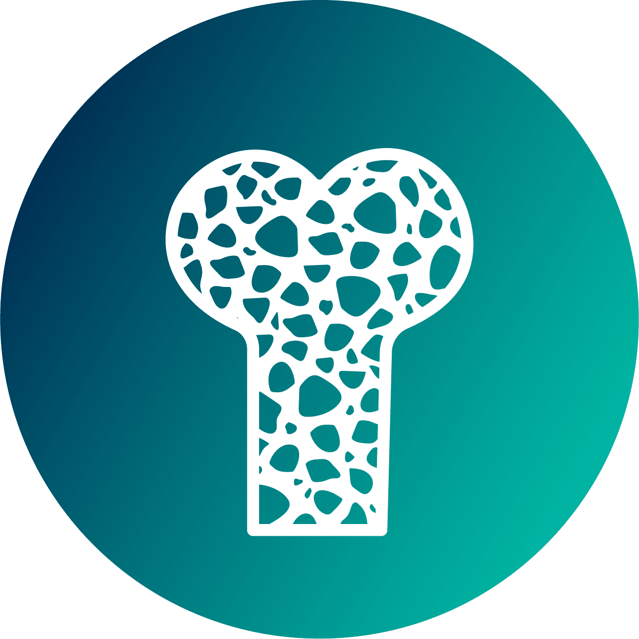 TBS Ortho: pre- and post-surgical bone assessment software - Medimaps